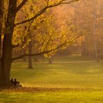 getty_rf_photo_of_two_people_talking_under_tree | Tweeny Randall